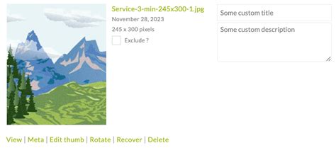 nextgen gallery share this image