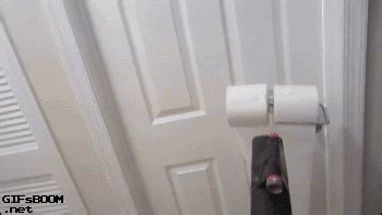 Girl Prank With Toilet Paper