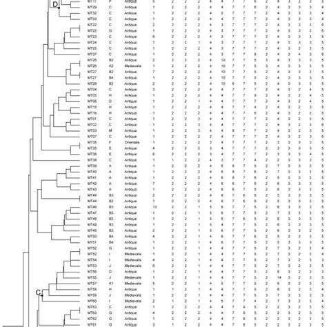 Mlva Genotyping Data And Cluster Analysis Cluster Analysis Was