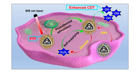Ultrasmall Gold Coated Mesoporous Polydopamine Nanoprobe To Enhance