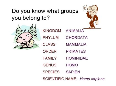 Lets Classify What Does It Mean To Classify