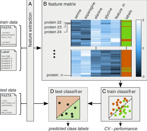 overview of the four main functionalities a sequence based feature