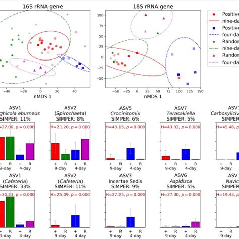 Chitinase Activity In Artificial Selection Experiment 1 A Enzymatic