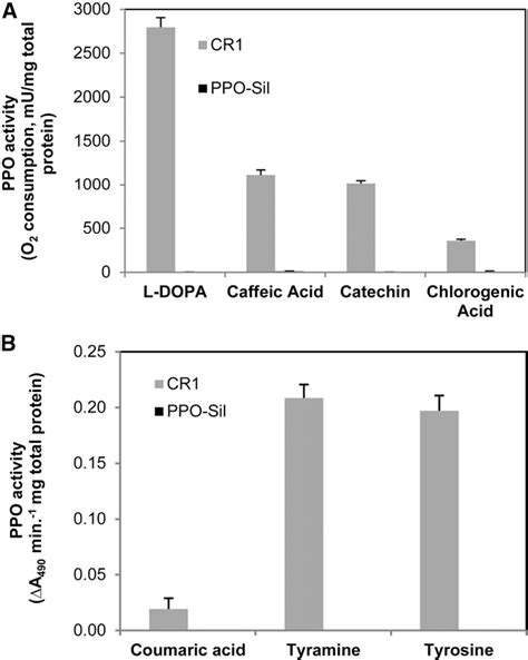 Figure 2 From Novel Roles For The Polyphenol Oxidase Enzyme In Secondary Metabolism And The