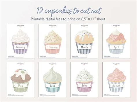 Cupcake Classroom Birthday Display Birthday Chart Bulletin Board Kit Preschool Elementary