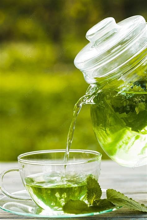 유리 컵과 찻주전자에 멜리사가 있는 허브 차 벡터 배경 및 무료 다운로드를위한 그림 Pngtree