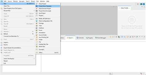 Template Project To Create Mule Application Mulesoft Tutorials