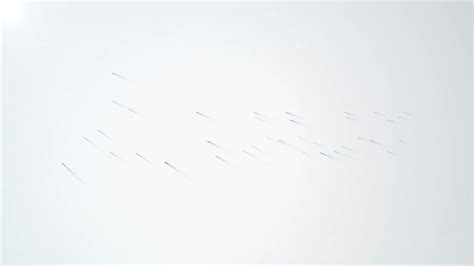 Humanoidrobots Humanoidrobotics Automation Ai Precisionengineering Stay