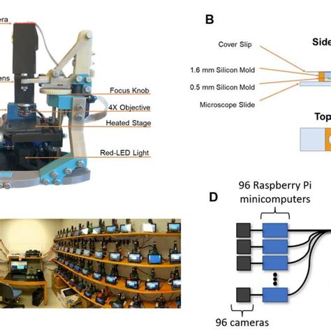 High Throughput Time Series Acquisition Setup A A Single Microscope Download Scientific