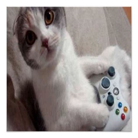 Gaming Cat Poster Zazzle Cat Memes Cats Cat Playing