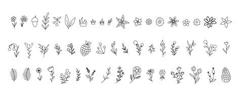 Set Of Vintage Floral Elements Cute Set Of Hand Drawn Doodles