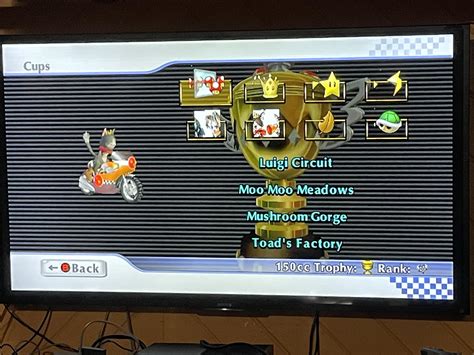 Whenever I Try To Add Custom Icons For The Characters In Ctgp R The Icons For The Cups Get