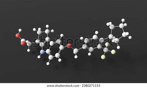 Sphingosine Over 212 Royalty Free Licensable Stock Illustrations And Drawings Shutterstock