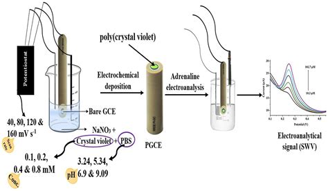 Electrochemical Sensor For The Detection Of Adrenaline At Polycrystal