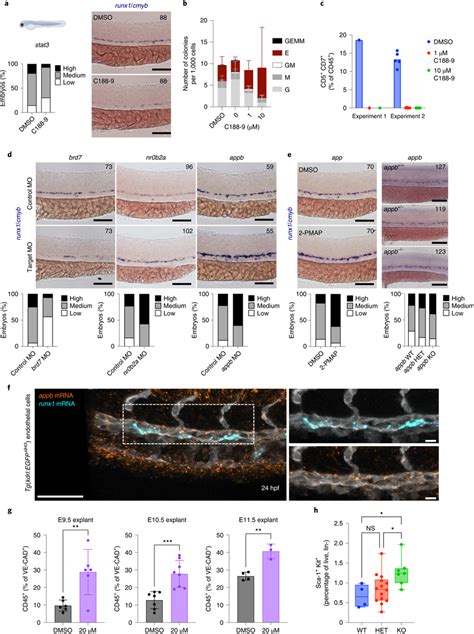 Systematic Validation Of Transcriptional Regulators A Wish For Download Scientific Diagram