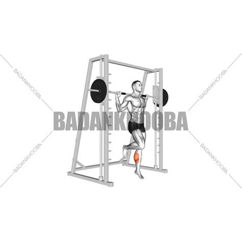 ساق پا ایستاده با اسمیت تک پا