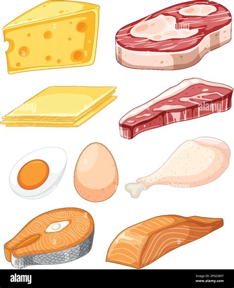 Protein Food Drawing With Name At Barbara Slye Blog