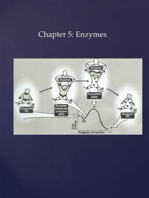 Enzymes Definitions Types And Classification Pptx Chemistry Science