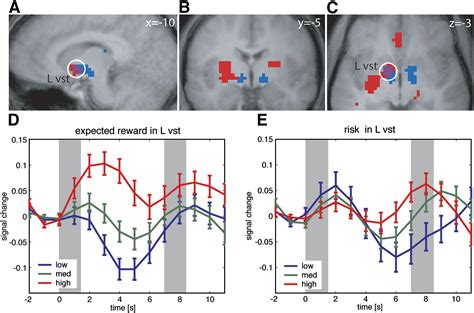 Neural Differentiation Of Expected Reward And Risk In Human Subcortical Structures Neuron