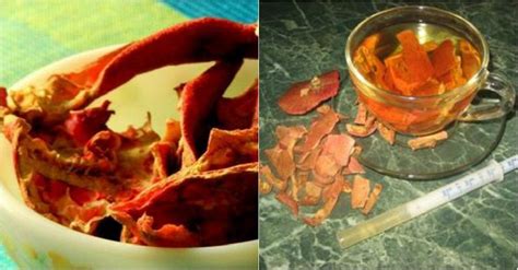 აღმოჩნდა რომ ბროწეულის ქერქი კუჭ ნაწლავის პრობლემებს უმკლავდება გთხოვთ ნუ გადაყრით ამ