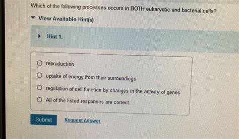 Solved Which Of The Following Processes Occurs In BOTH Chegg