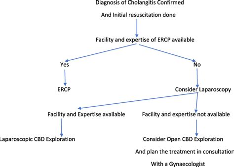 Protocol For Management Of Cholangitis In Pregnancy Download