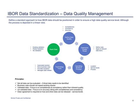 Ibor Data Management Standardization Ppt