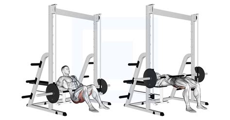 Smith Machine Hip Thrust Smith Machine Hip Thrust Variations A