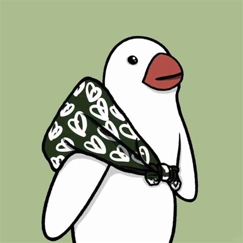 节点分享网 每天更新免费节点订阅链接