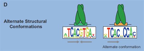 Proteins With Complex Binding Modes