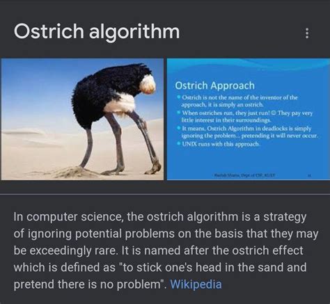 Laurent S On Linkedin Ostrich Algorithm Or Deadlock Ignorance This