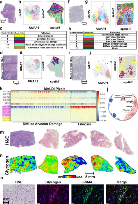 high dimensionality reduction and spatial clustering hdr sc analysis