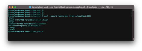Setting Up Mutual TLS Using Client Certificates BounCA Org Generate Self Signed SSL Certificates