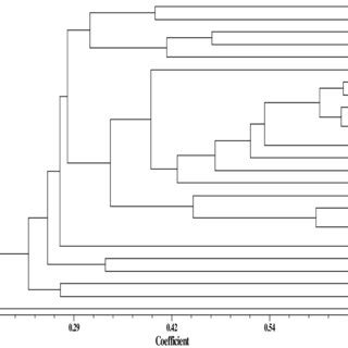 Dendrogram Generated Using Unweighted Pair Of Group Method With