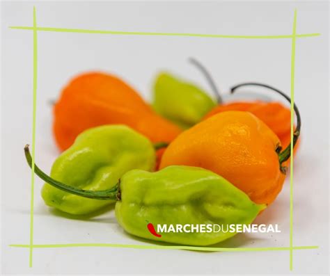 Khadime Diakhate Posted On Linkedin