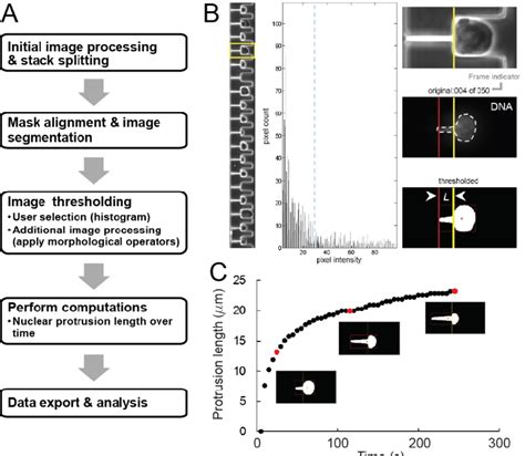 custom designed matlab software enables rapid analysis of nuclear