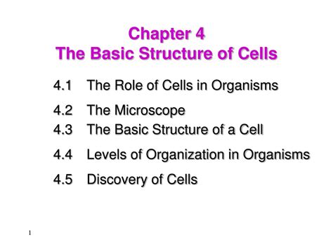PPT Chapter 4 The Basic Structure Of Cells PowerPoint Presentation Free Download ID 9348463