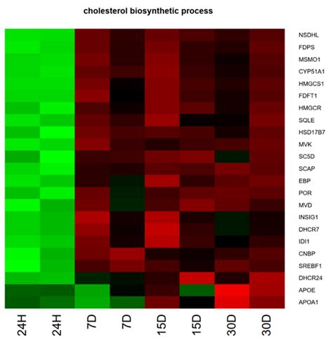 Expression Heatmap Of Genes Associated To Cholesterol Biosynthetic