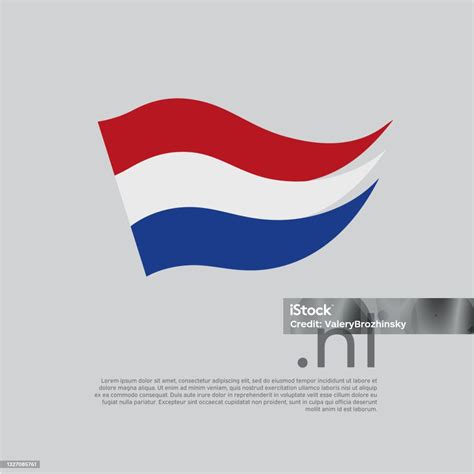 네덜란드 플래그 브러시 스트로크 네덜란드 플래그 색상 은 흰색 배경에 줄무늬 벡터 는 Nl 도메인 텍스트 장소와 함께 국립