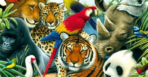 Семестрова контрольна робота з біології 7 клас з відповідями Інші методичні матеріали Біологія