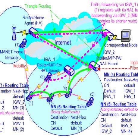 Different Problems On Internet Gateway Forwarding Strategies Download Scientific Diagram
