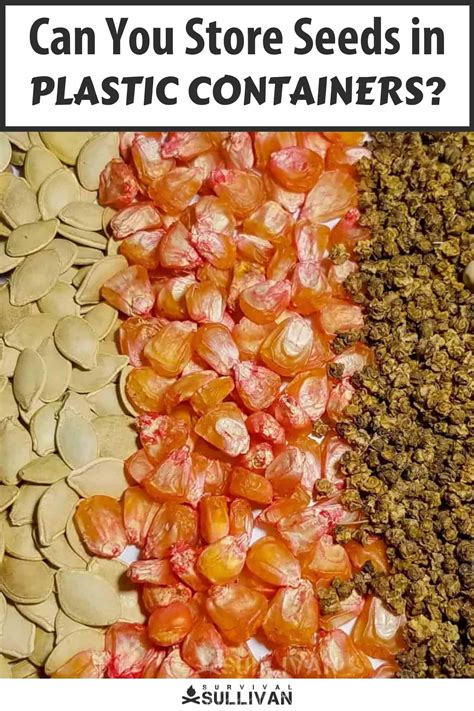 Can You Store Seeds In Plastic Containers