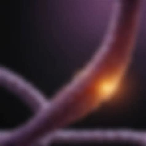 Survival Rates Of Pancreatic Cancer Explained