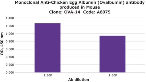 Egg Albumin Sigma Aldrich