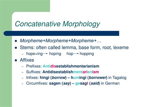 Ppt Morphology Words And Their Parts Powerpoint Presentation Id167985