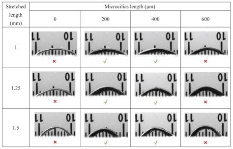 Performance Evaluations Of Magnetic Inchworm Robots For Combinations Download Scientific