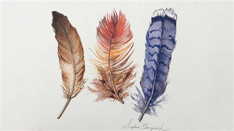 Feather Watercolor