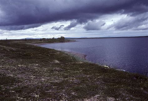 Alagnak River Alaska Org