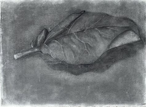 Reductive Leaf Jay Goodwin