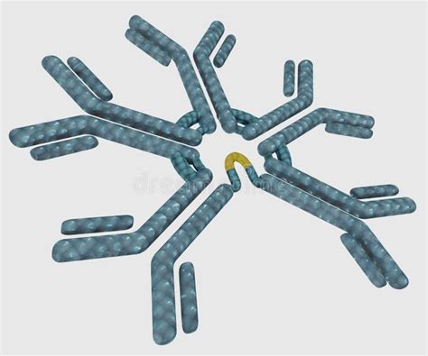 Igm Structure Stock Illustrations 49 Igm Structure Stock Illustrations Vectors And Clipart